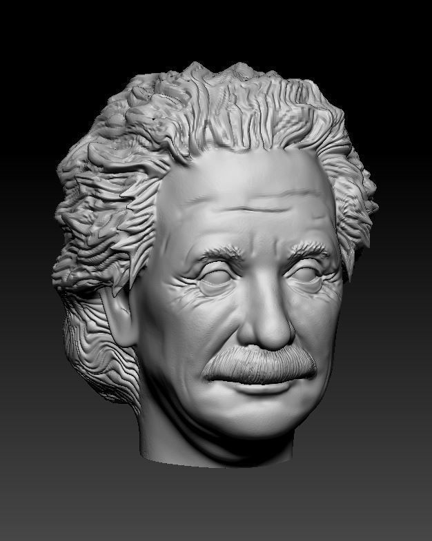 Male head 12 Albert Einstein 3D model 3D printable | CGTrader