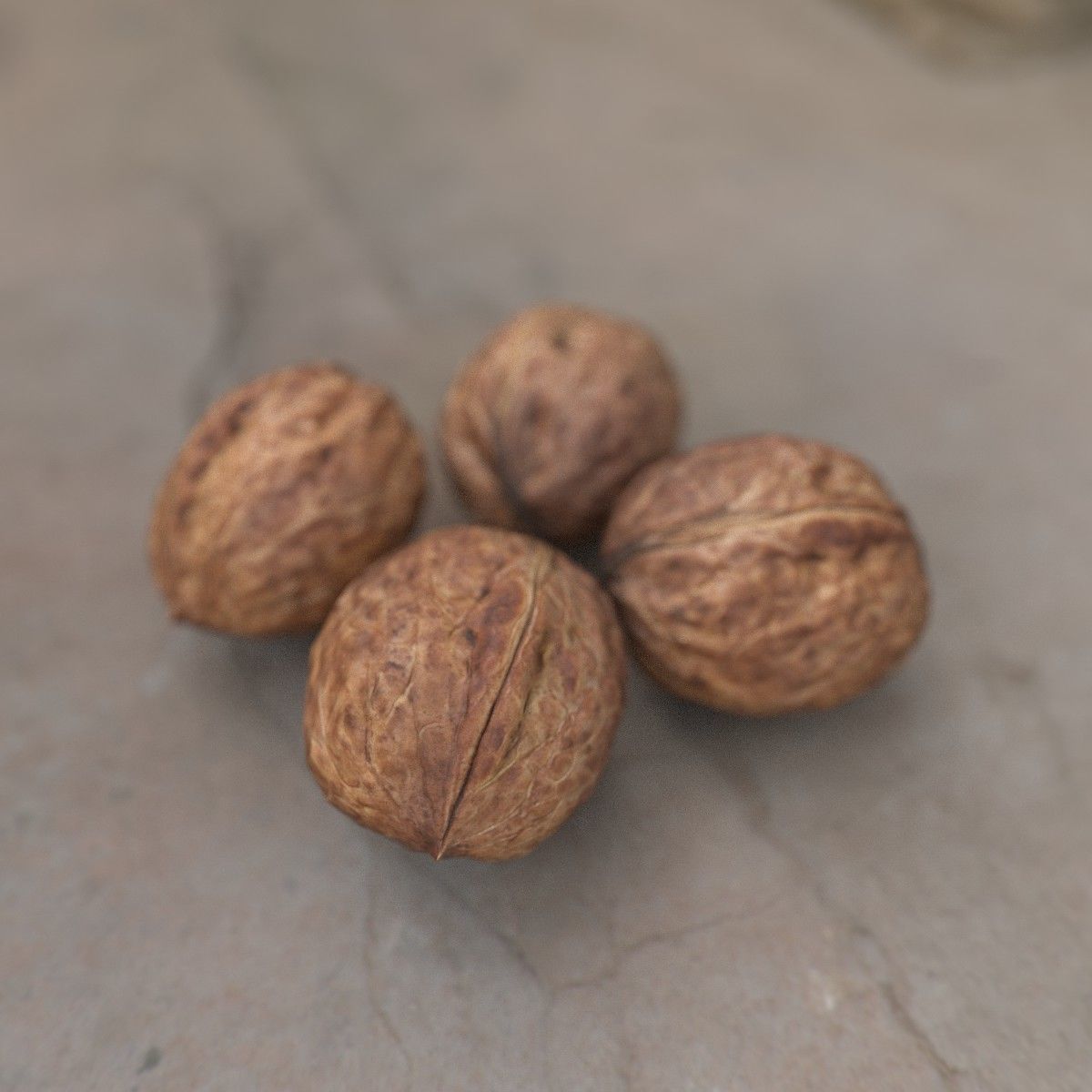 3D model Walnut Fruit - Nut Fruit - Photoscan VR / AR / low-poly | CGTrader