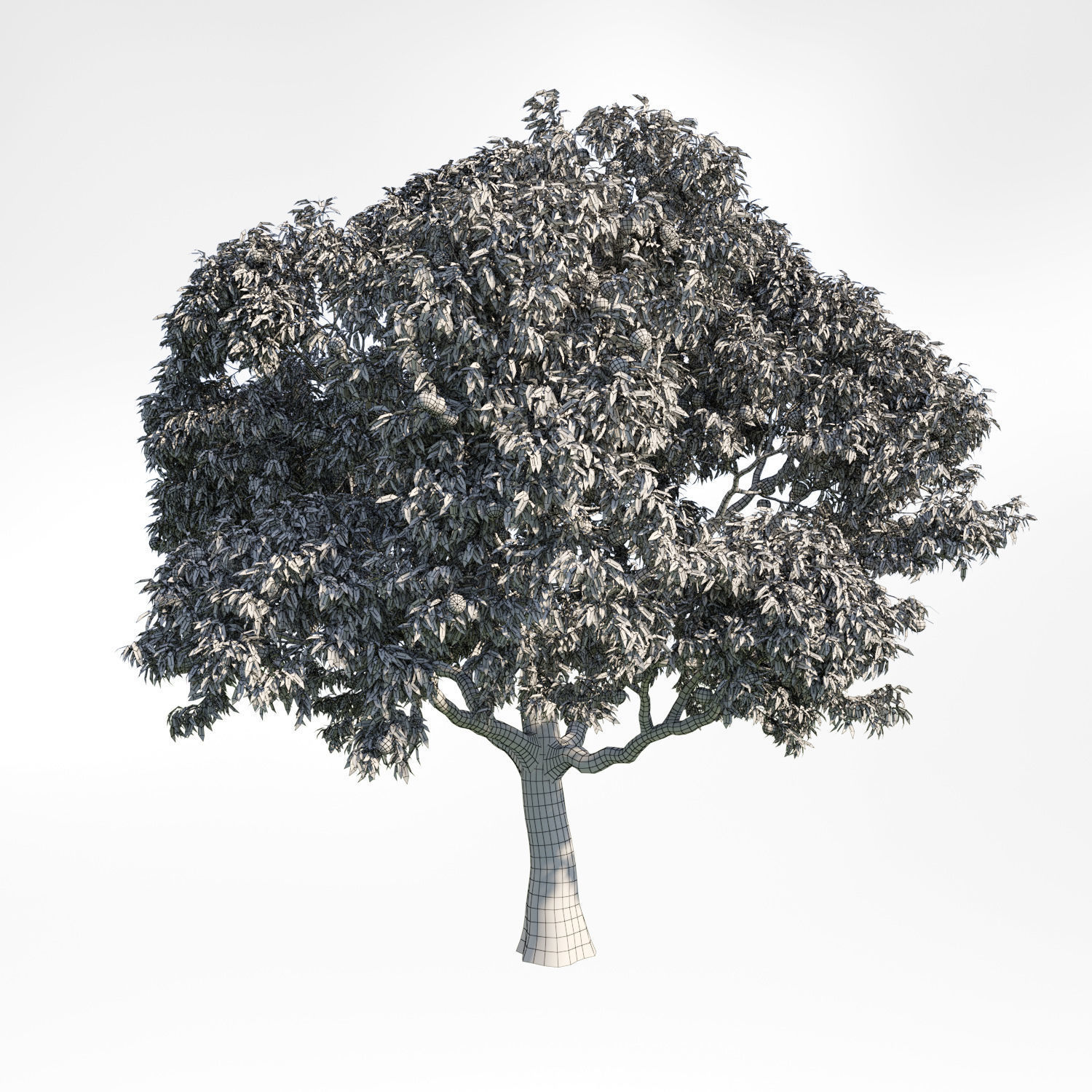 Peach Tree6 3D model | CGTrader