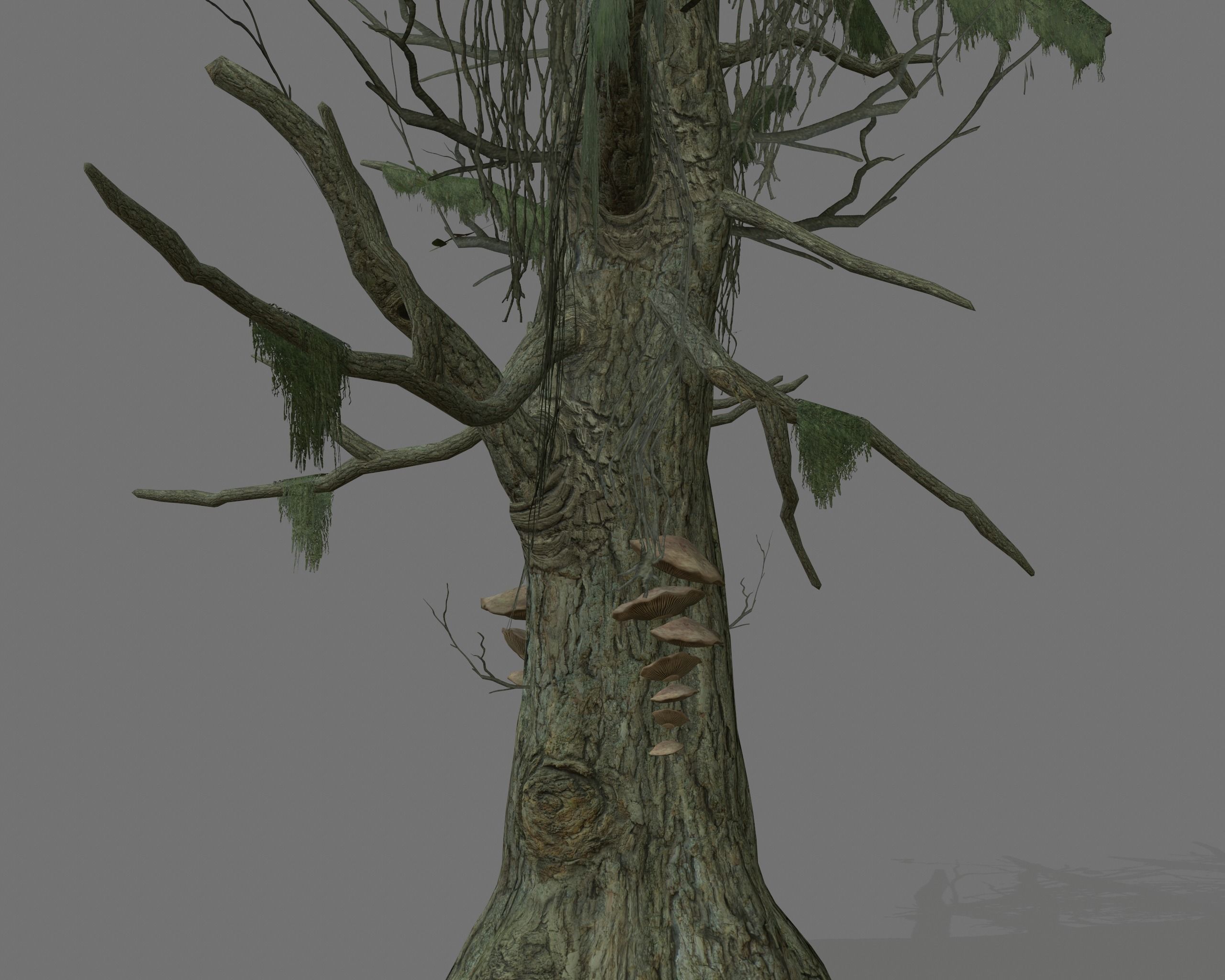 3D model Nature Assets - Swamp Trees VR / AR / low-poly | CGTrader