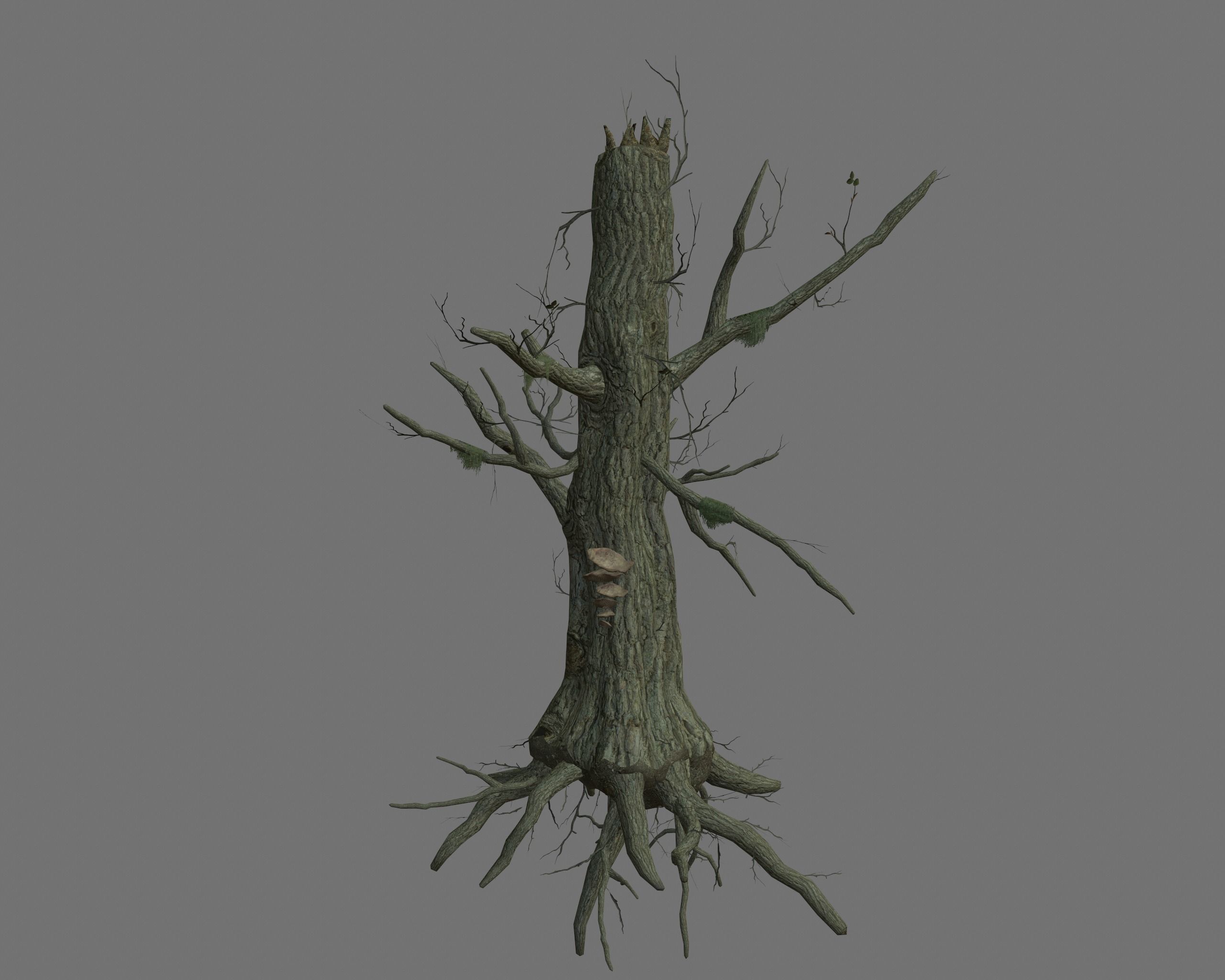 3D model Nature Assets - Swamp Trees VR / AR / low-poly | CGTrader