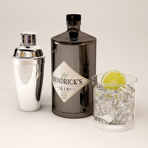 Gin Hendrix 3D model | CGTrader