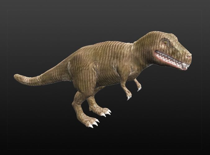 T-Rex - Class code 3D model | CGTrader
