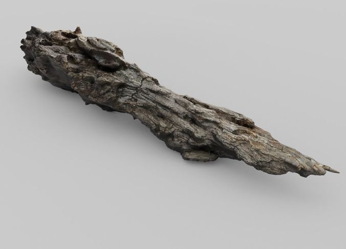 3D model SCANNED BROKEN LOG VR / AR / low-poly | CGTrader