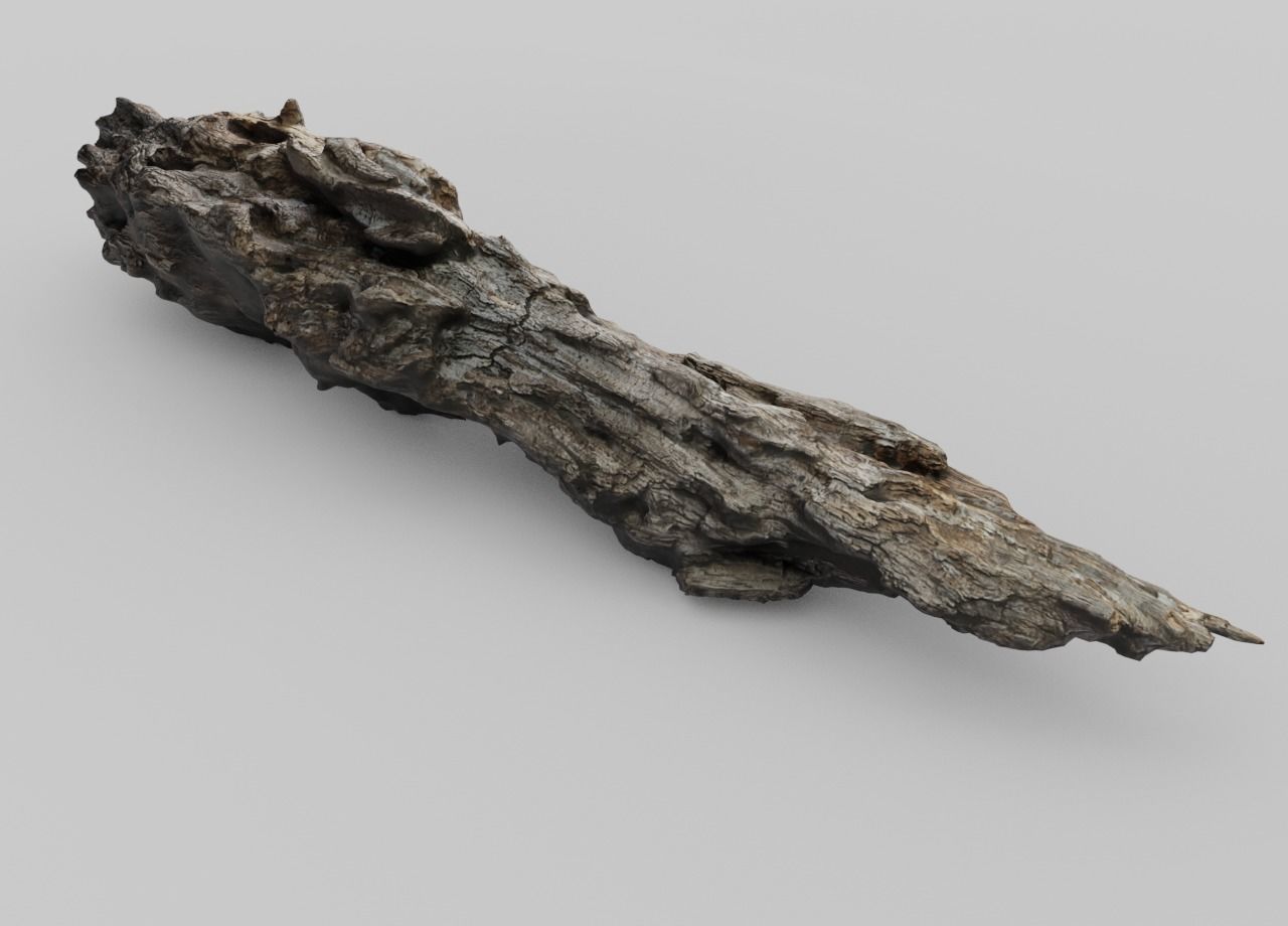SCANNED BROKEN LOG 3D asset low-poly | CGTrader