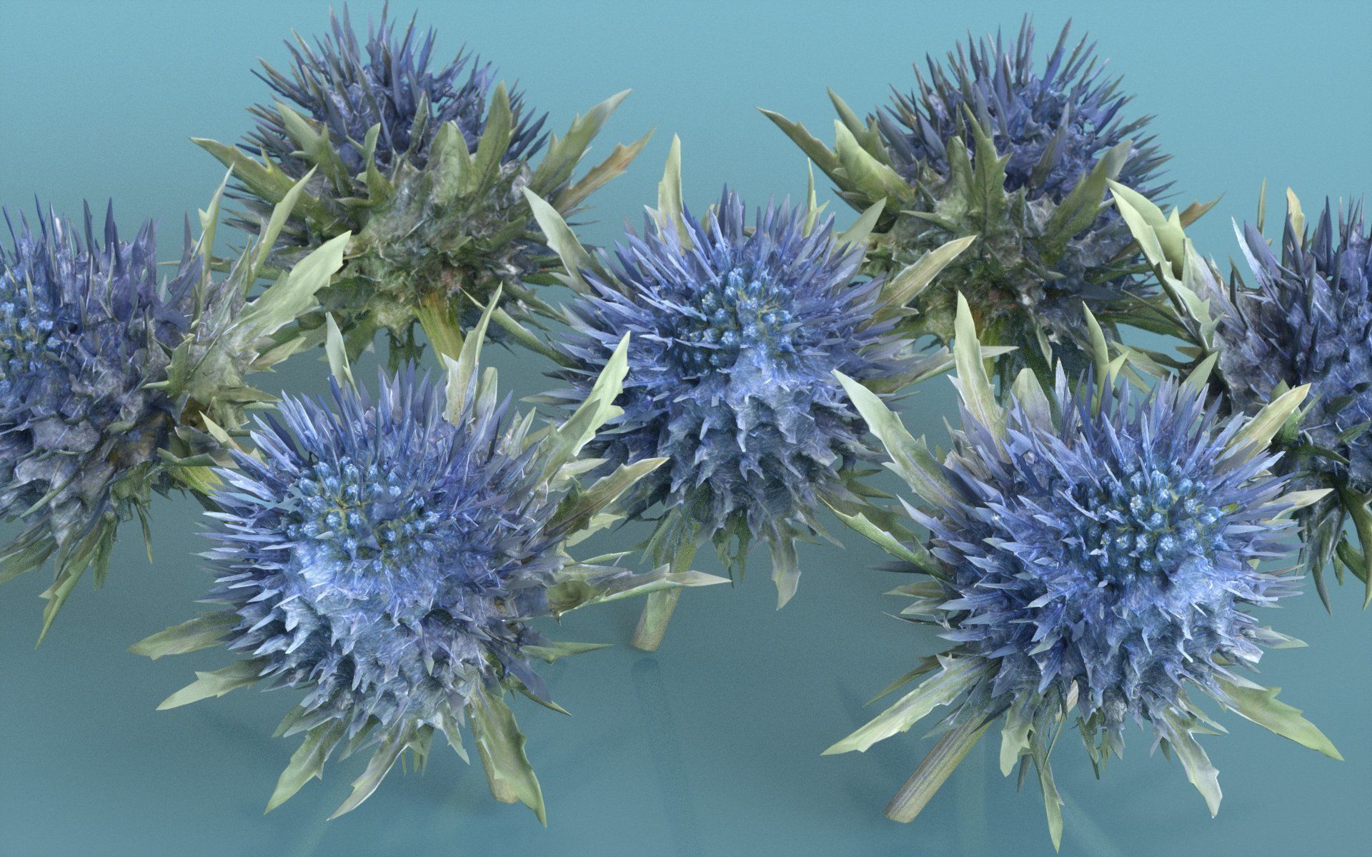 3D model Milk Marian Mary Blessed Thistle Silybum Marianum VR / AR ...