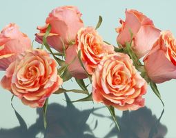 Low-poly Rose 3D Models | CGTrader