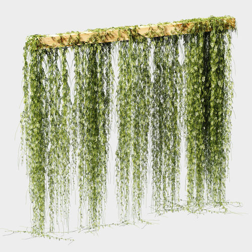 Plant leaf partition or screen 3D model | CGTrader