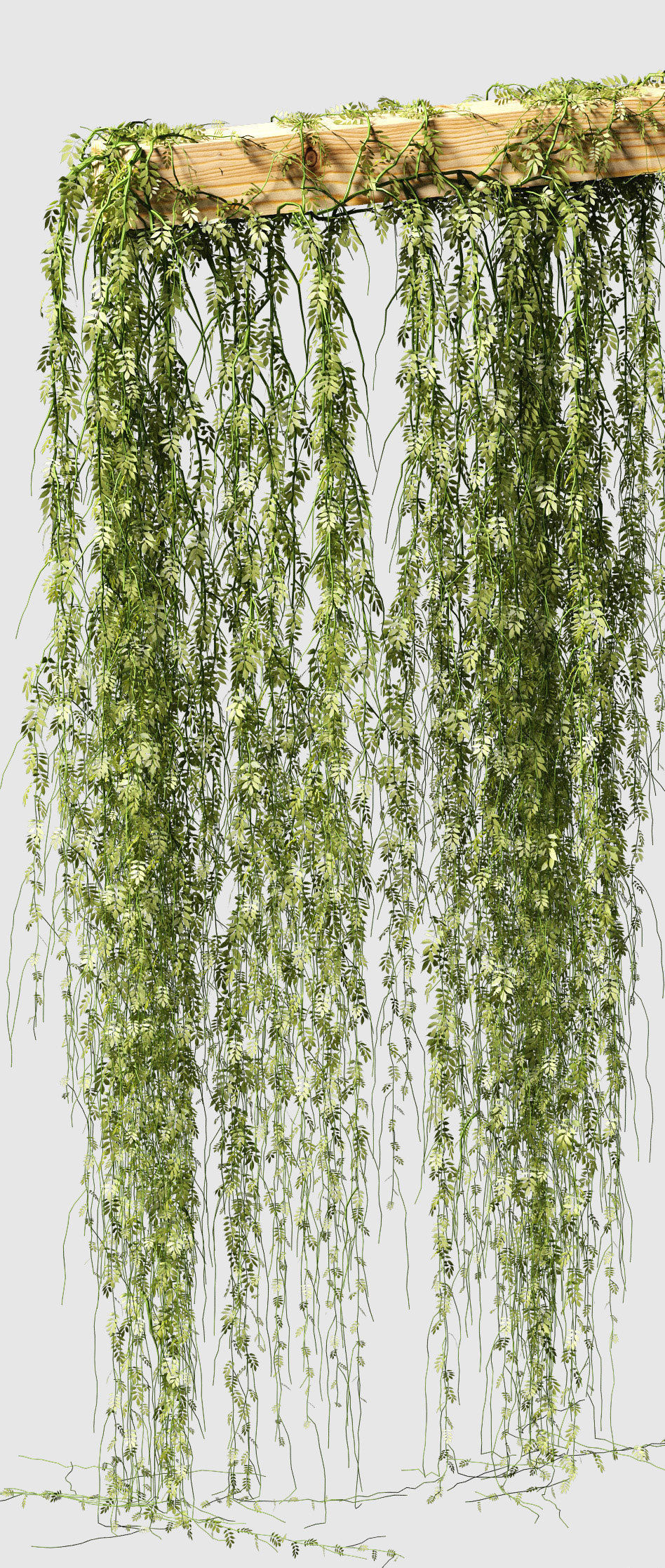 Plant leaf partition or screen 3D model | CGTrader