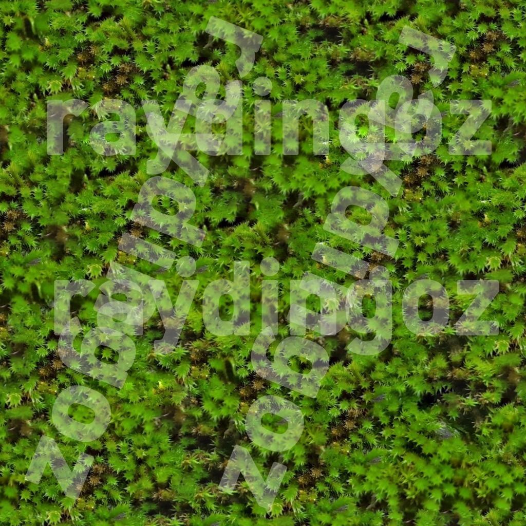 Texture Simple Seamless Moss Texture VR / AR / low-poly | CGTrader