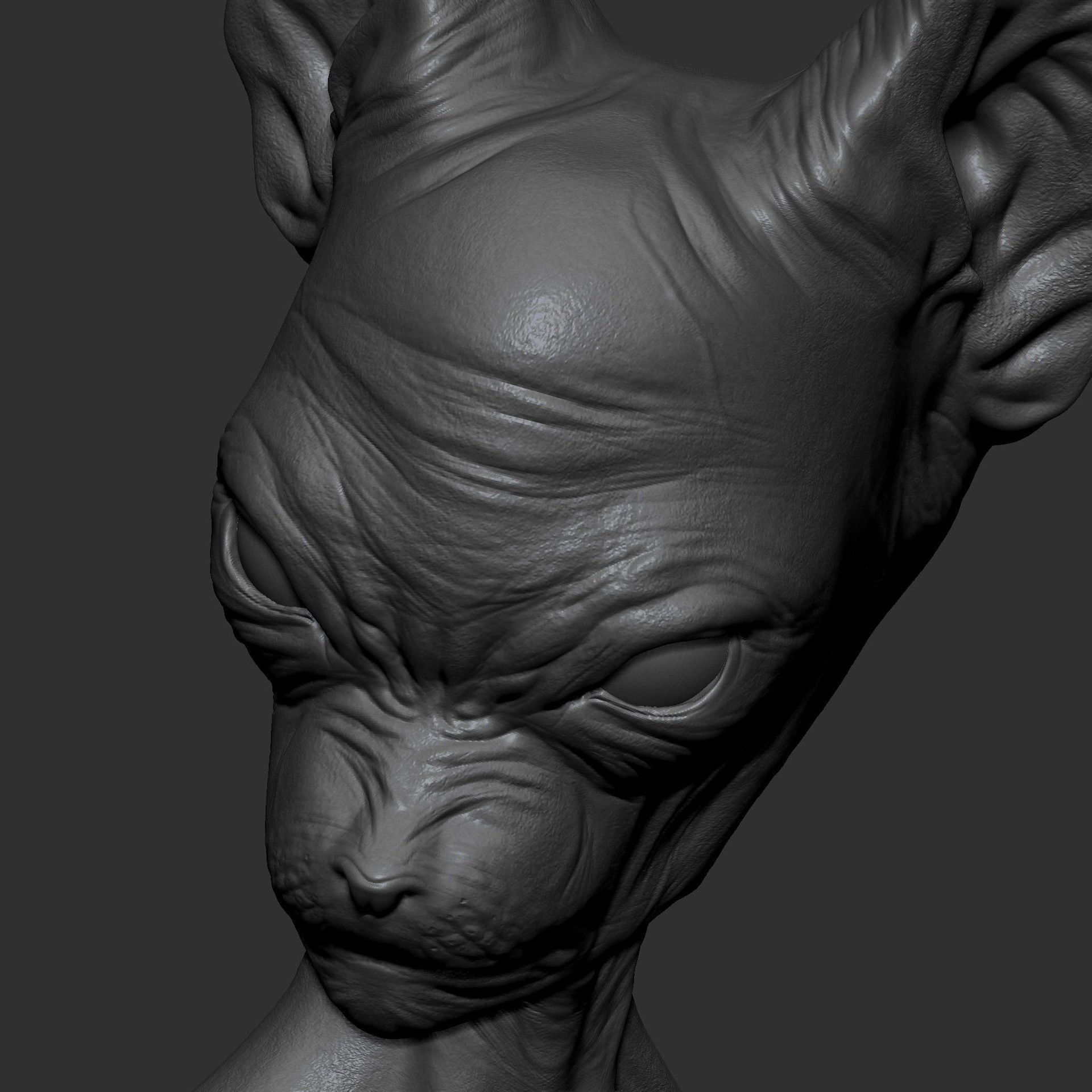 Lord Beerus 3D model 3D printable | CGTrader