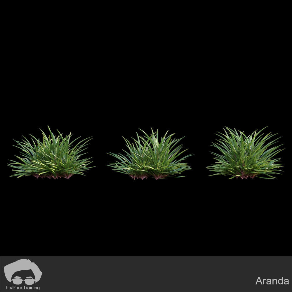 Australian Bush and Grass kit 1 3D model | CGTrader