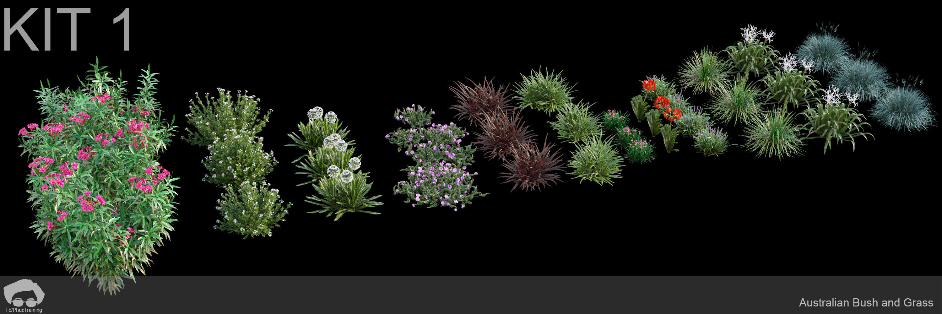 Australian Bush and Grass kit 1 3D model | CGTrader