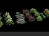 Australian Bush and Grass kit 1 3D model | CGTrader