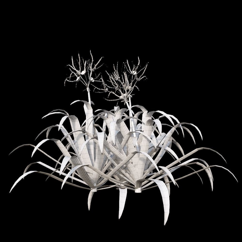 Australian Bush and Grass kit 1 3D model | CGTrader