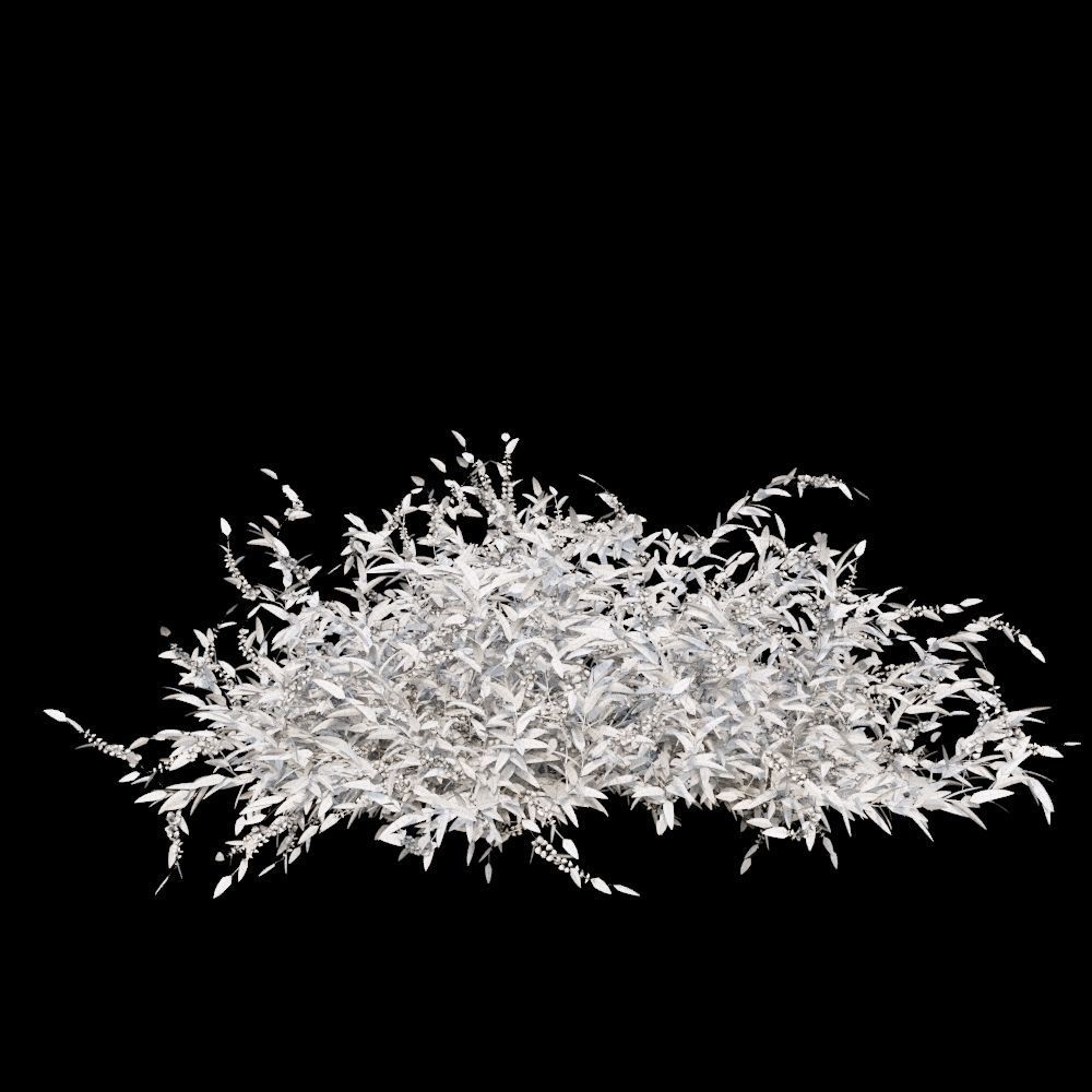 Australian Bush and Grass kit 2 3D model | CGTrader