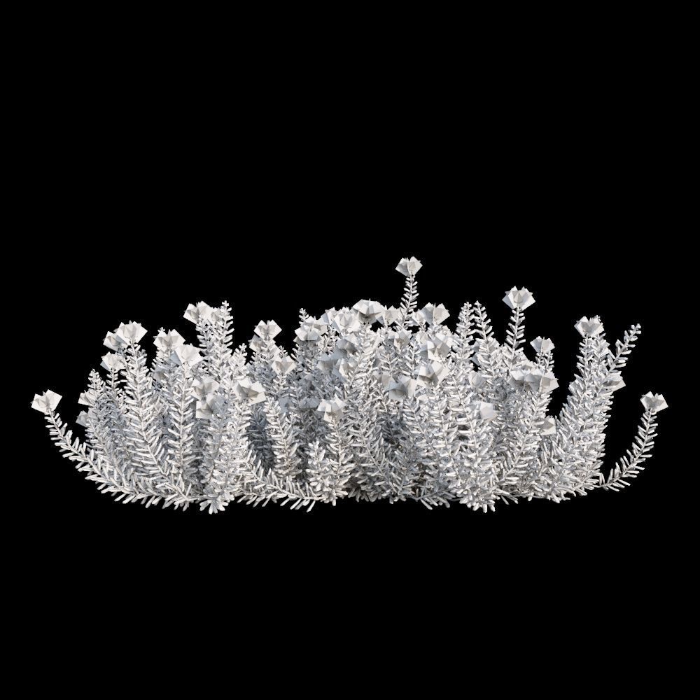 Australian Bush and Grass kit 2 3D model | CGTrader