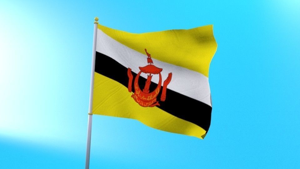 Brunei flag animated low poly 3D model animated | CGTrader