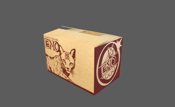 Beer Pack 3D model | CGTrader