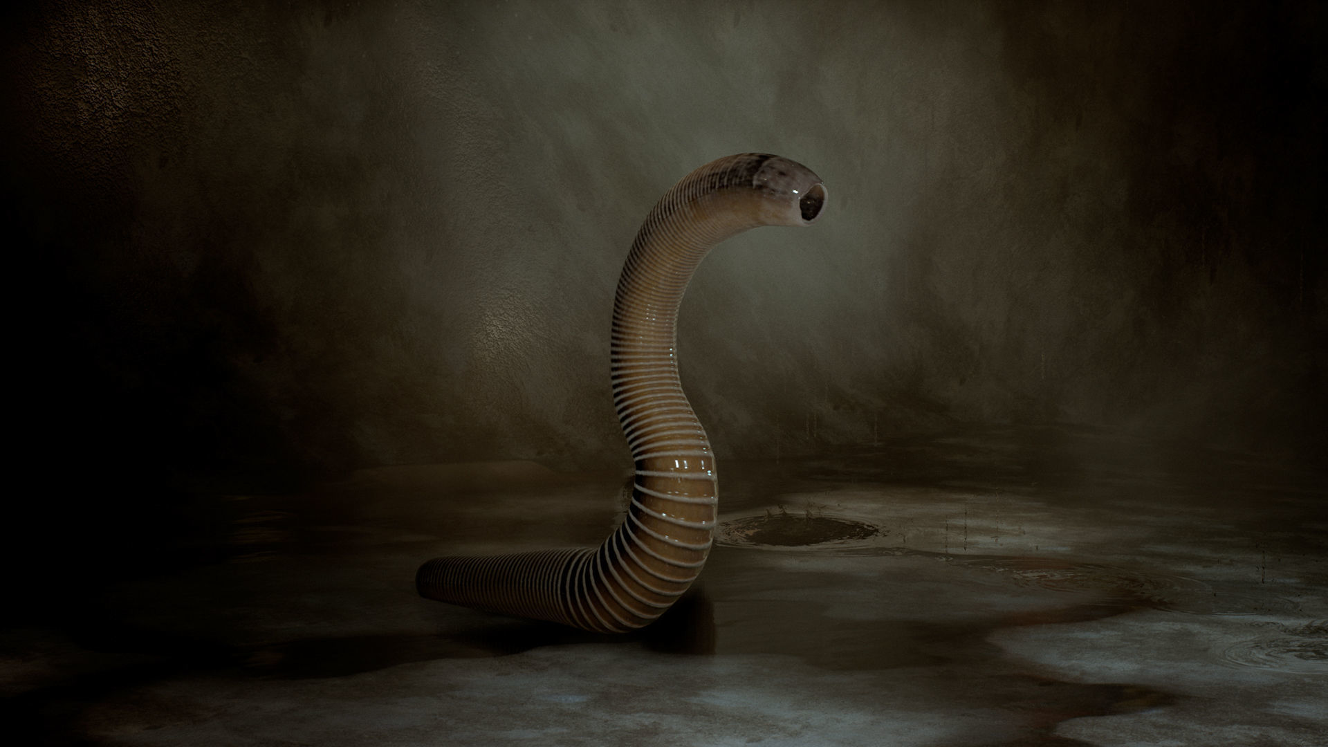 3D model Leeches snake VR / AR / low-poly rigged animated | CGTrader