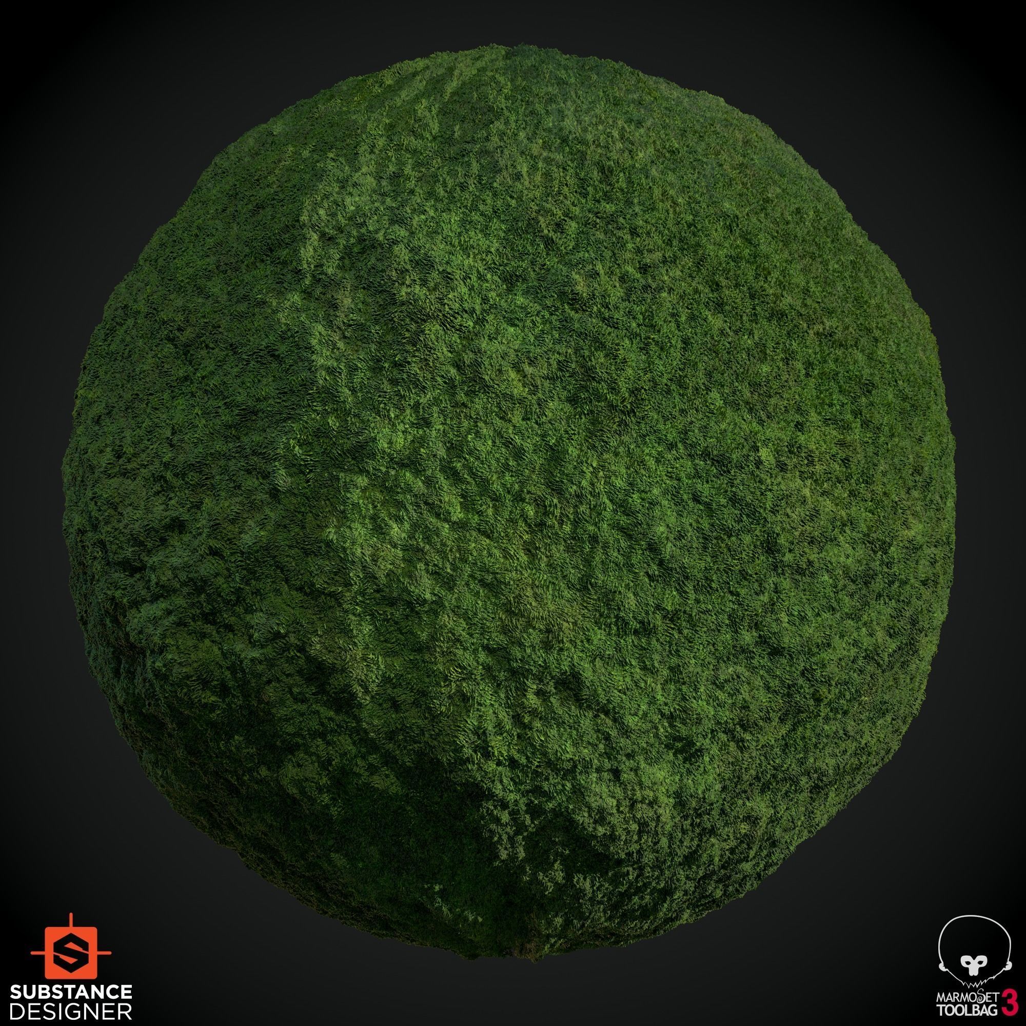 Stone Path Soil Grass Texture Material free Texture | CGTrader