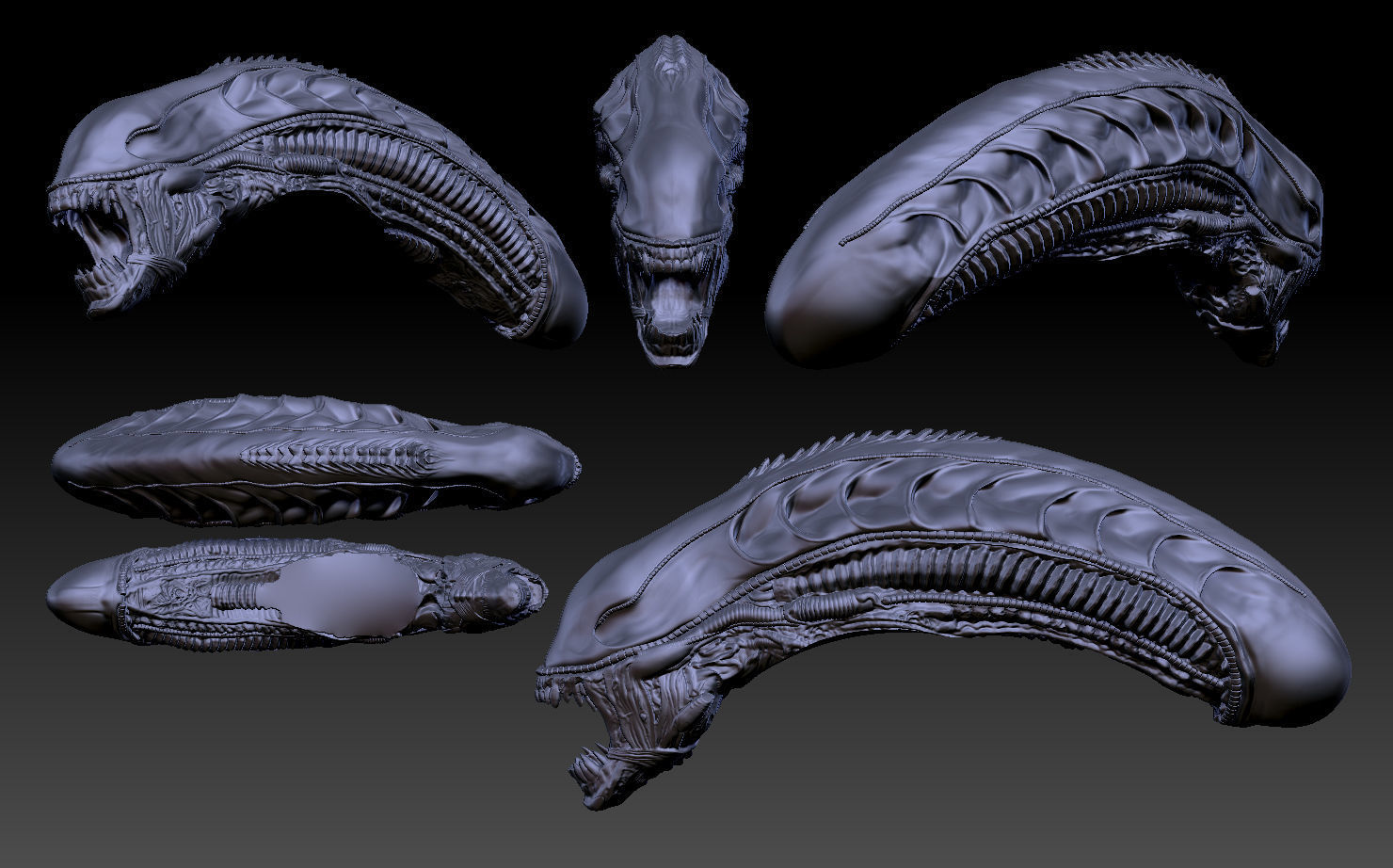 Aliens xenomorph inspired head 3d file 3D model | CGTrader