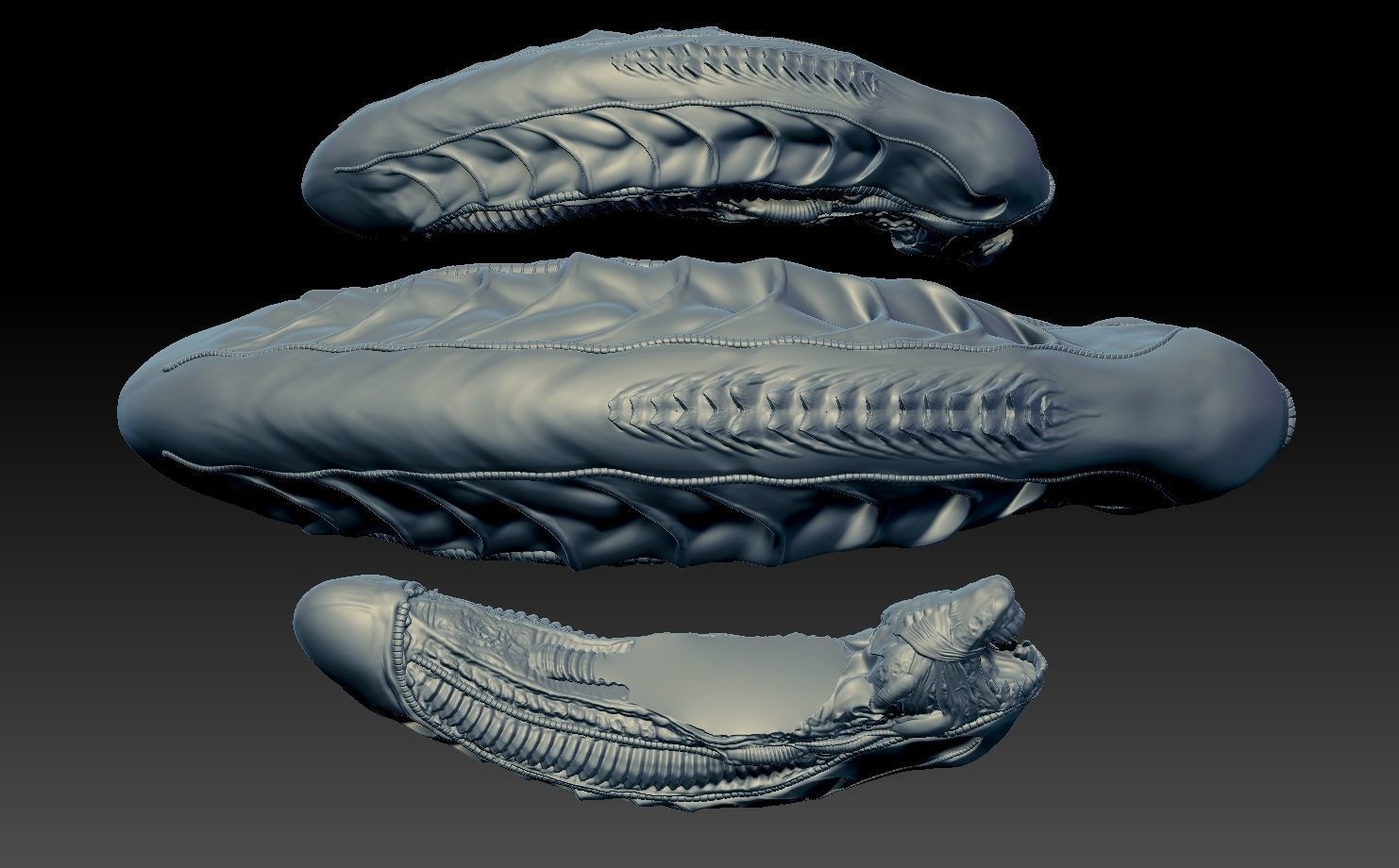 Aliens xenomorph inspired head 3d file 3D model | CGTrader