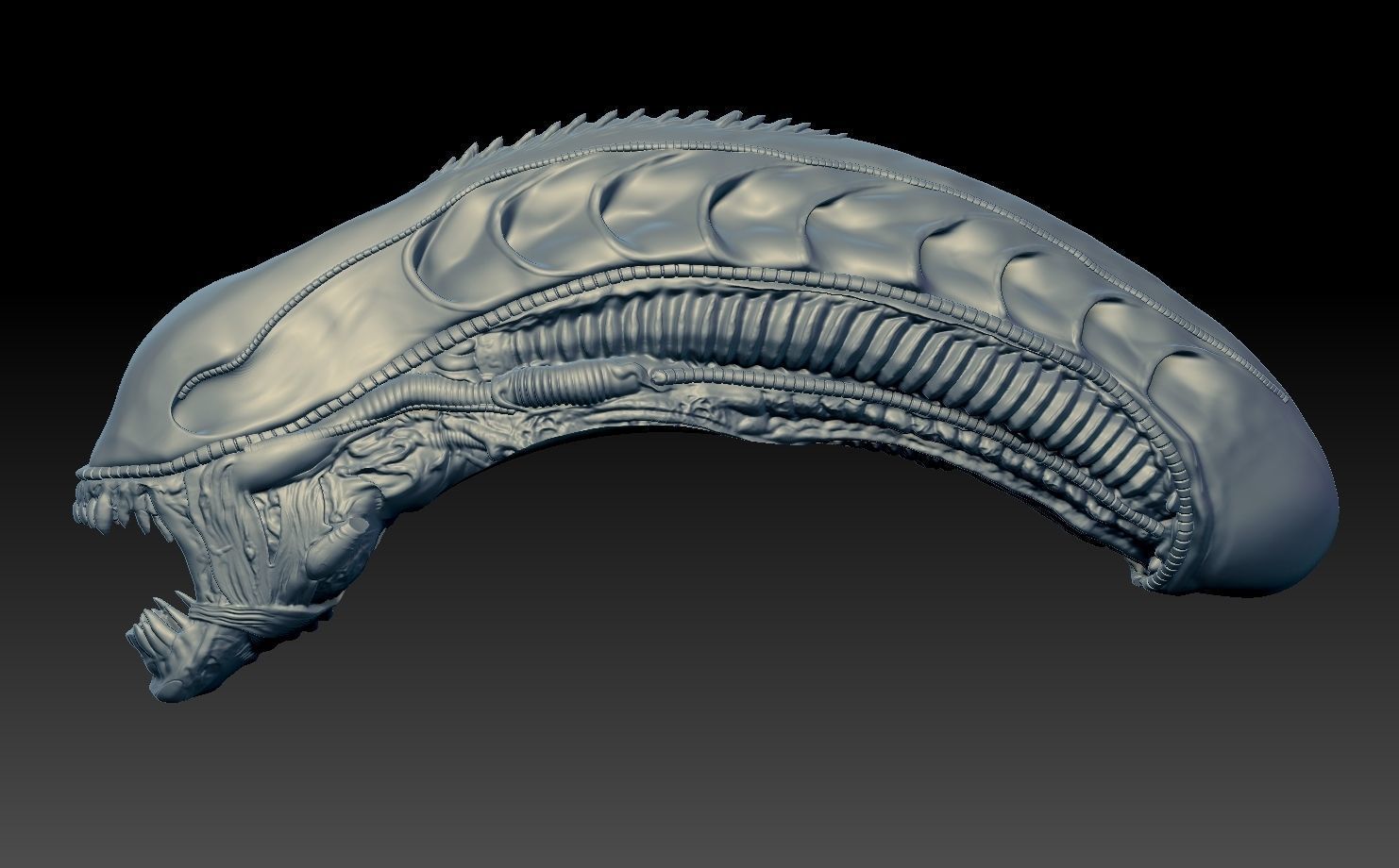 Aliens xenomorph inspired head 3d file 3D model | CGTrader