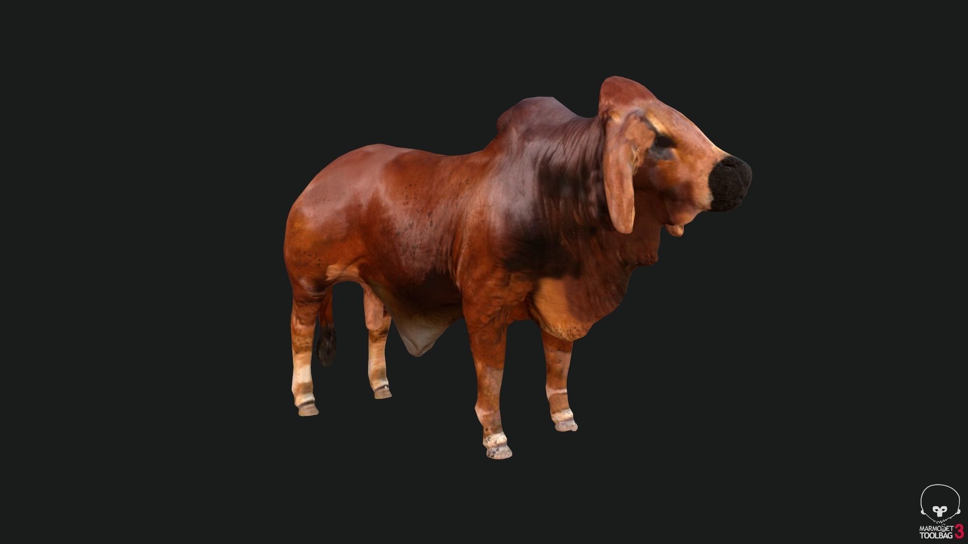 3D model Bull india VR / AR / low-poly | CGTrader