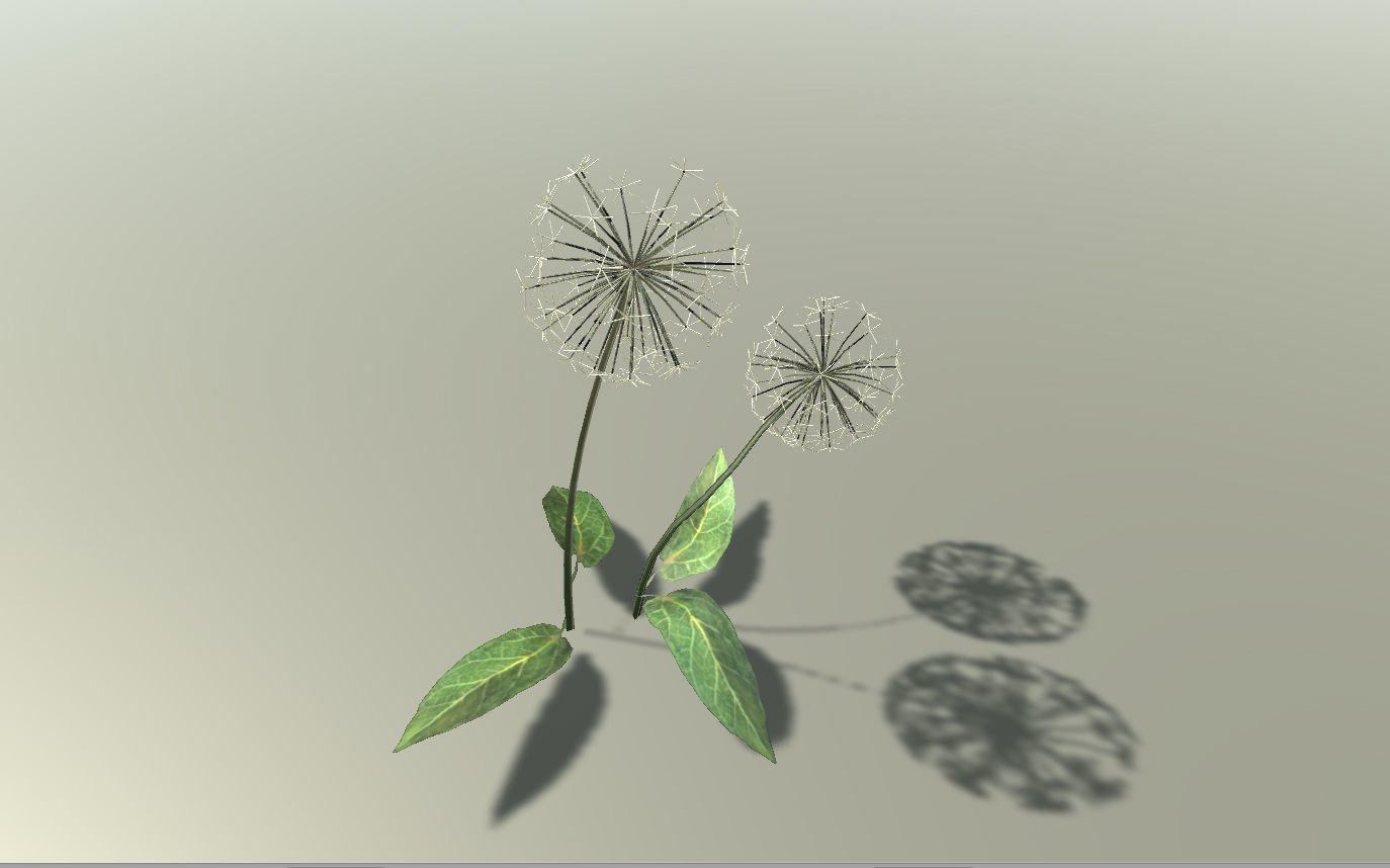 Dandelion two plants 3D model | CGTrader