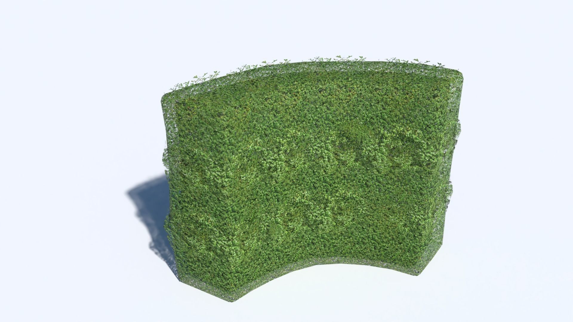3D model Hedge VR / AR / low-poly | CGTrader