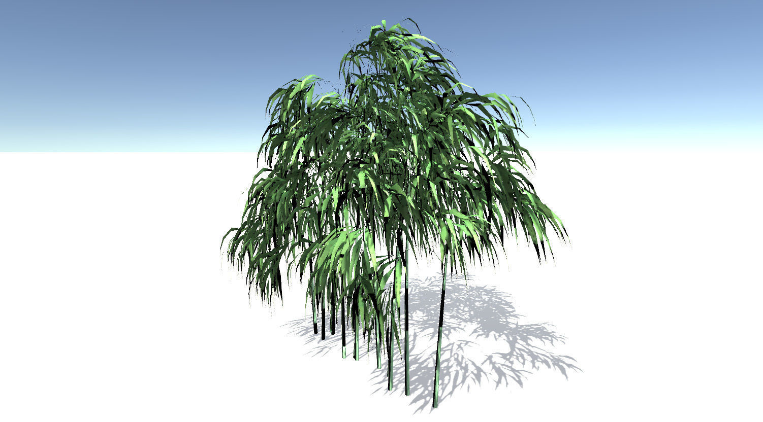 Bamboo Tree 3D model | CGTrader