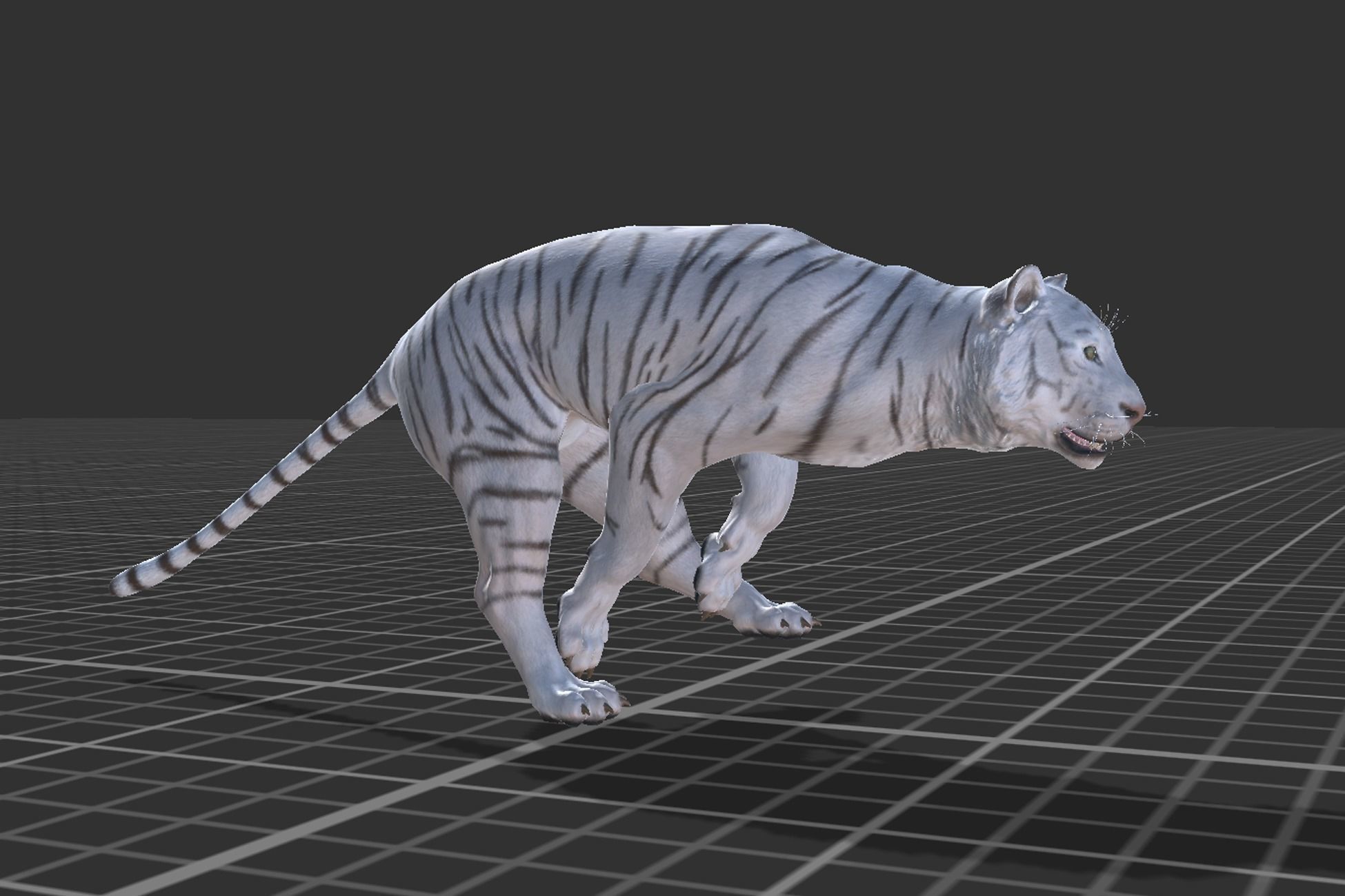 3D model Tiger VR / AR / low-poly rigged animated | CGTrader