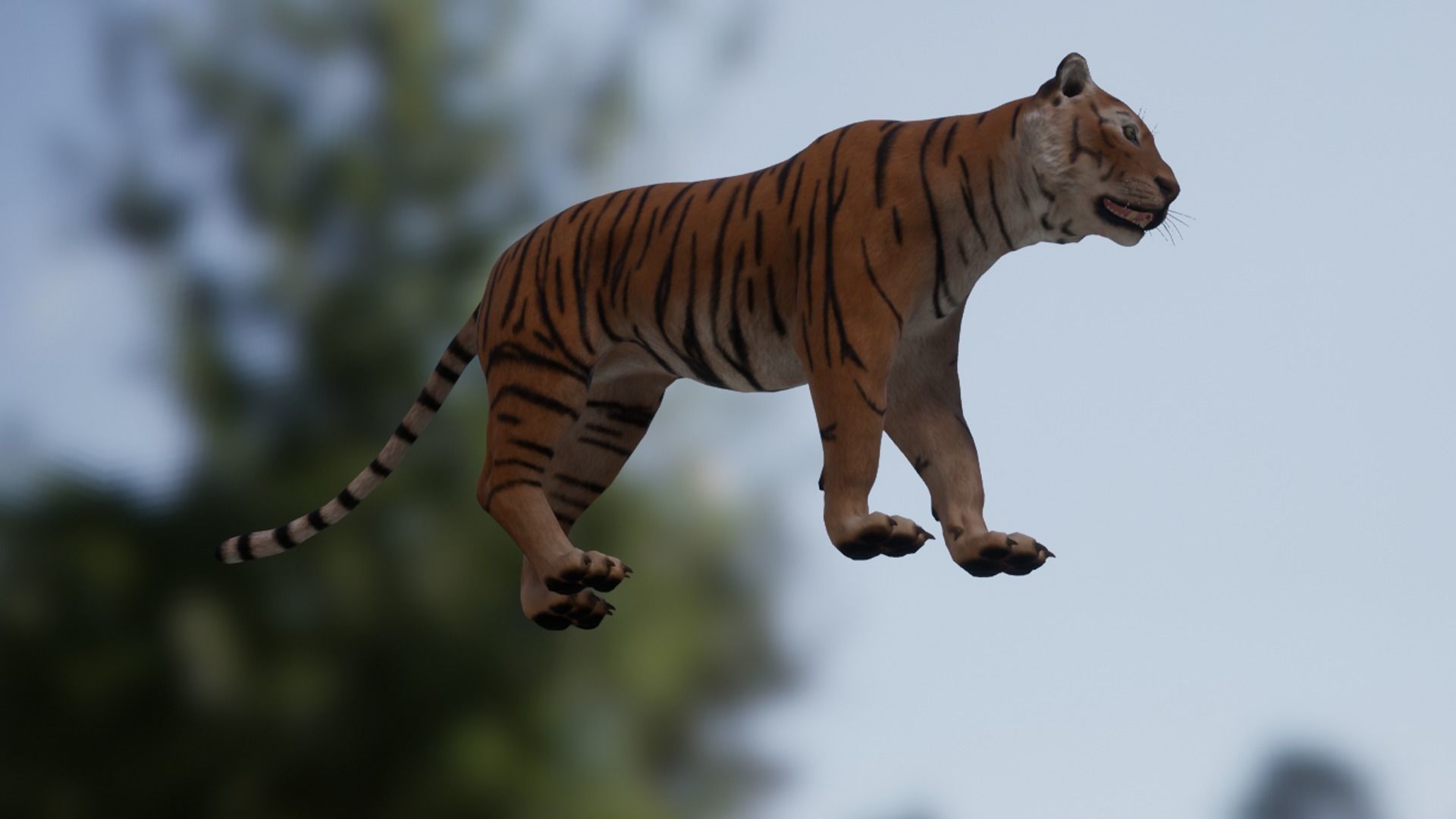 3D model Tiger VR / AR / low-poly rigged animated | CGTrader