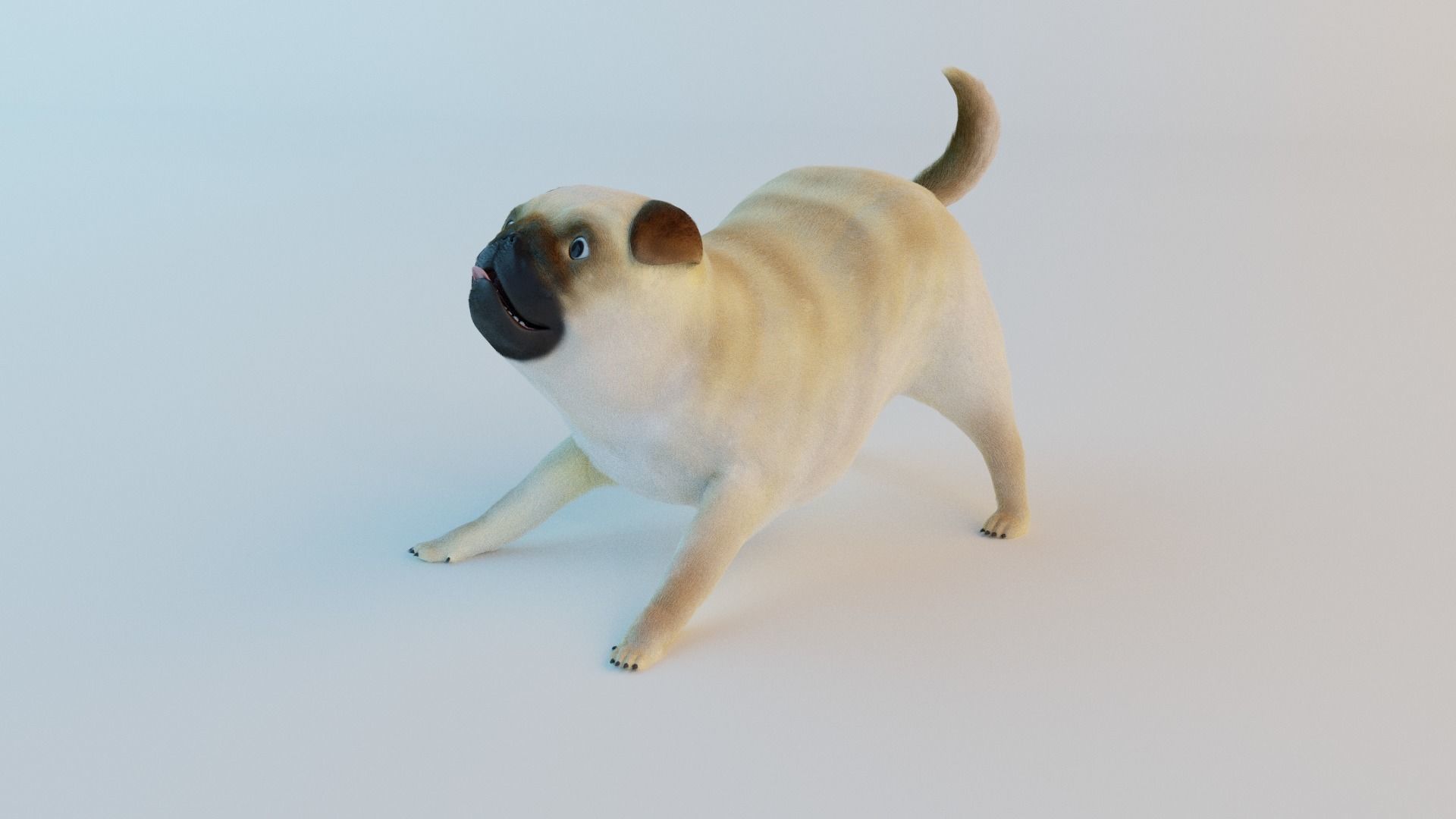 Stylized fat pug dog rigged 3D model rigged | CGTrader