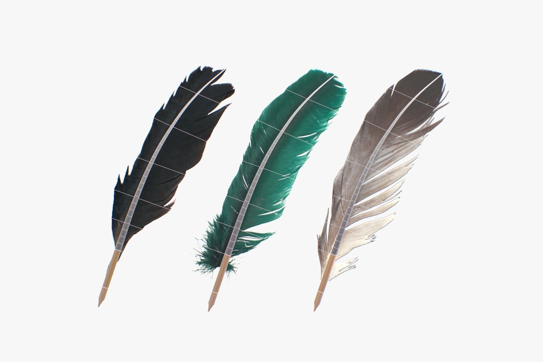 3D model Feathers Pens pack VR / AR / low-poly | CGTrader