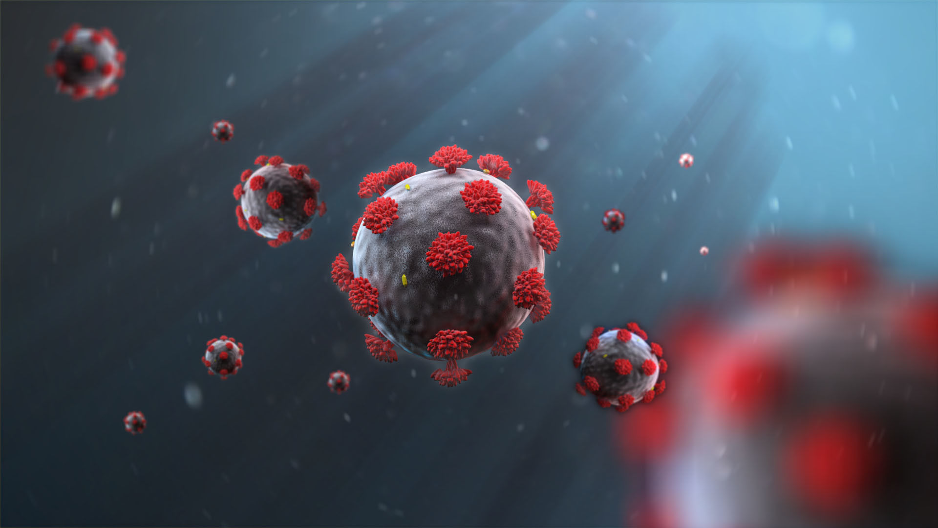 Covid-19 3d model 3D model animated MAX OBJ FBX