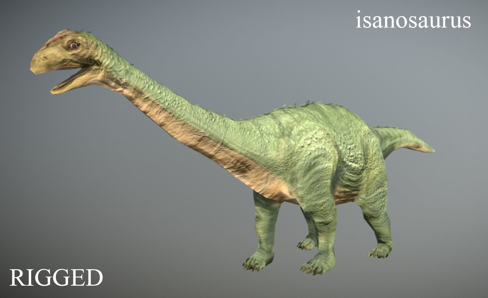 3D model Thai Dinosaur isanosaurus VR / AR / low-poly rigged | CGTrader