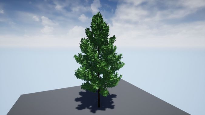High-Poly Tree 3D model | CGTrader