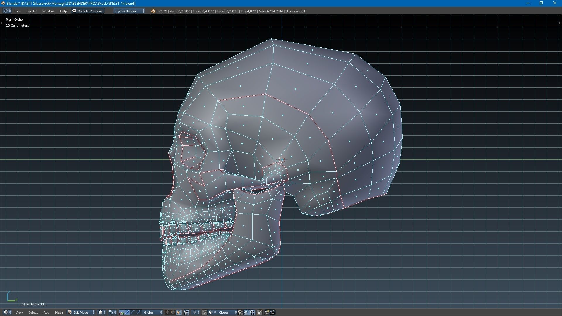 3D model Skull Low Poly VR / AR / low-poly rigged | CGTrader