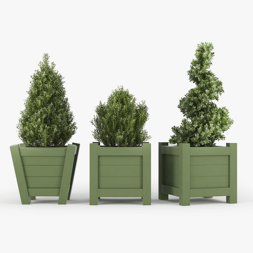 Buxus green pot 3D model | CGTrader