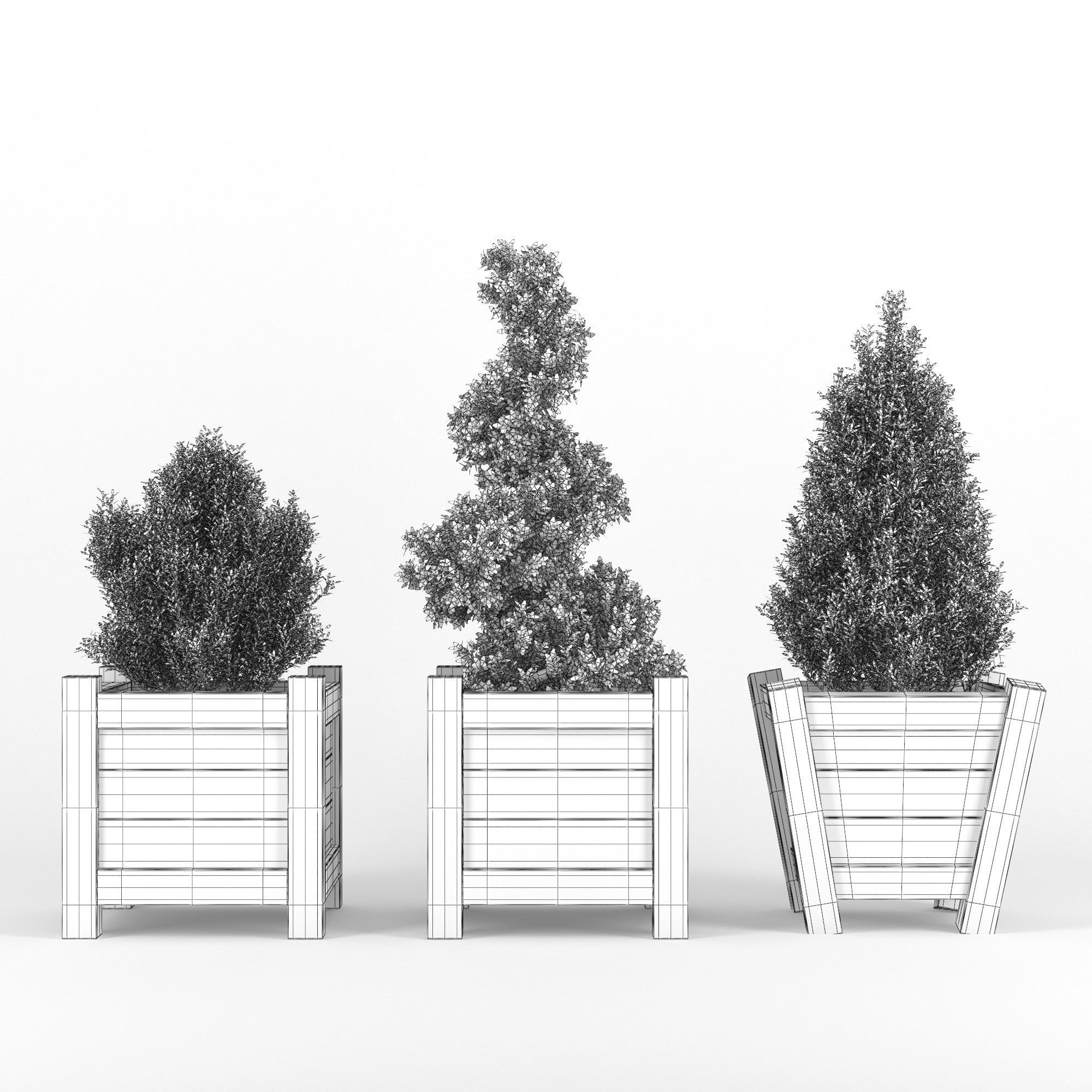 Buxus green pot 3D model | CGTrader