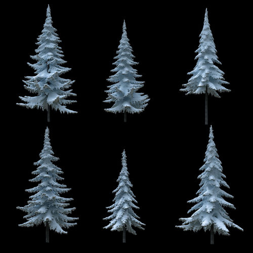 Snow-covered trees 3D model | CGTrader