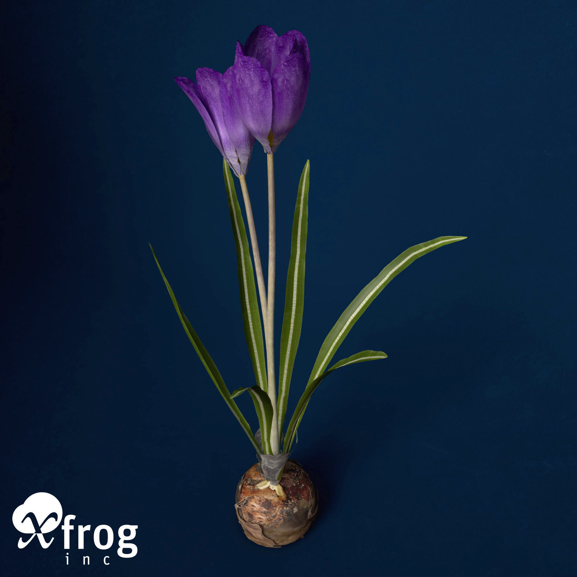 XfrogPlants Flowers MegaBundle 3D Model Collection | CGTrader