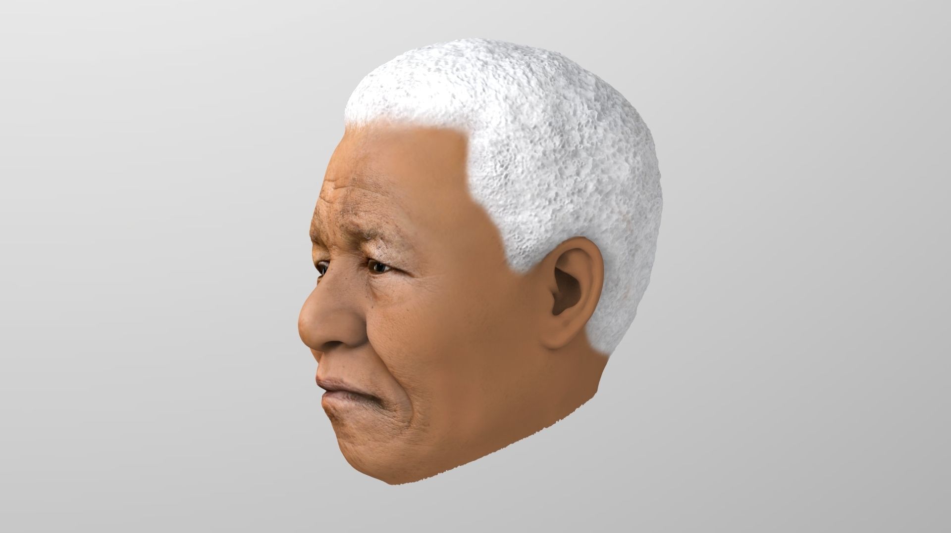 Nelson Mandela 3D model | CGTrader