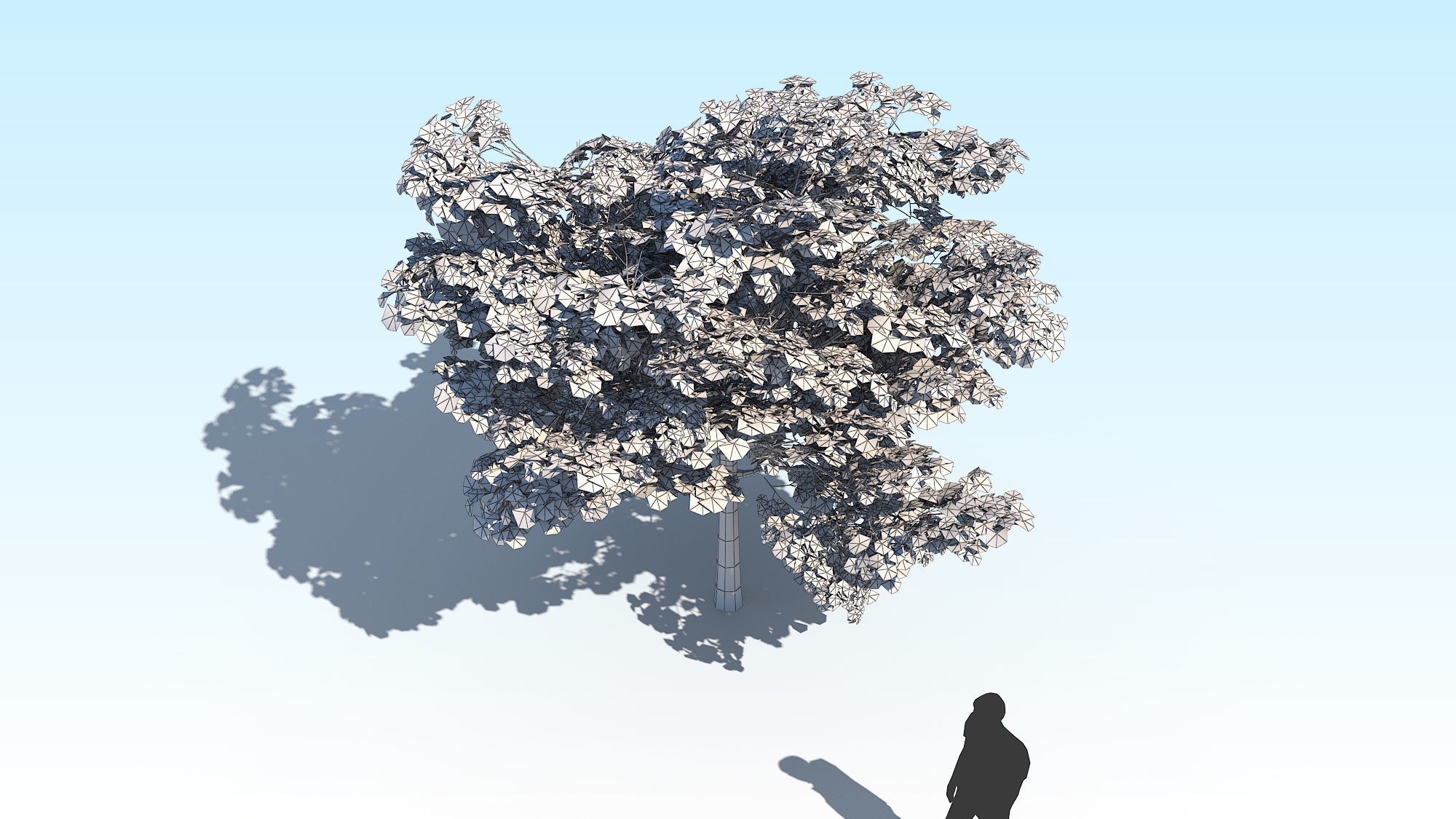 Maple Acer Tree 01 ArchViz 3D model | CGTrader