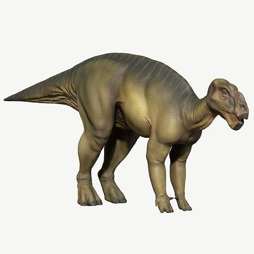 3D model Iguanodon dinosaur VR / AR / low-poly | CGTrader