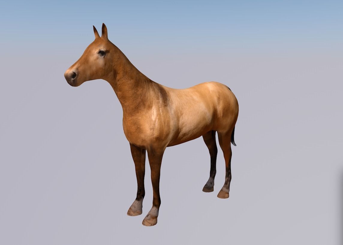 3D asset Horse Low poly | CGTrader