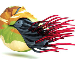 Nautilus shell 3D Printing Models | CGTrader