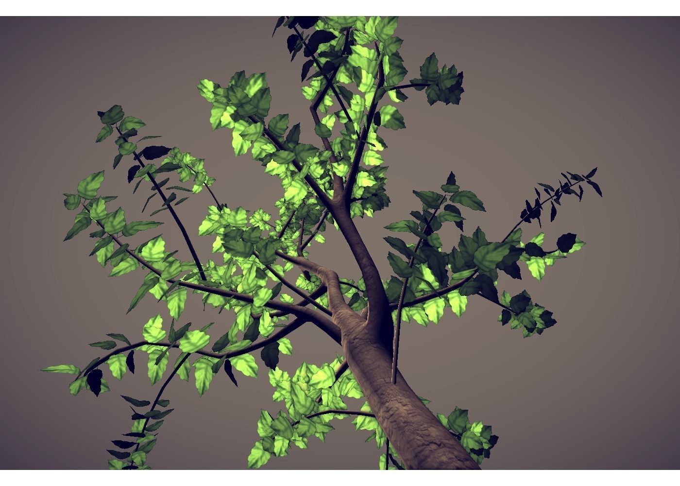 small tree 3D model | CGTrader